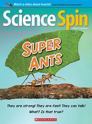 Super Ants - May / June 2021