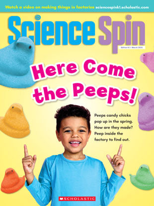 Here Come the Peeps!