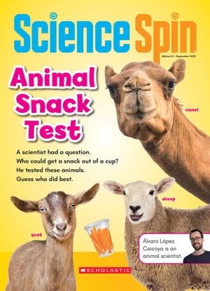 Animal Snack Test